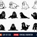 30 Walrus SVG Bundle, Walrus Svg Png, Walrus Coloring Page, Walrus Cut ...
