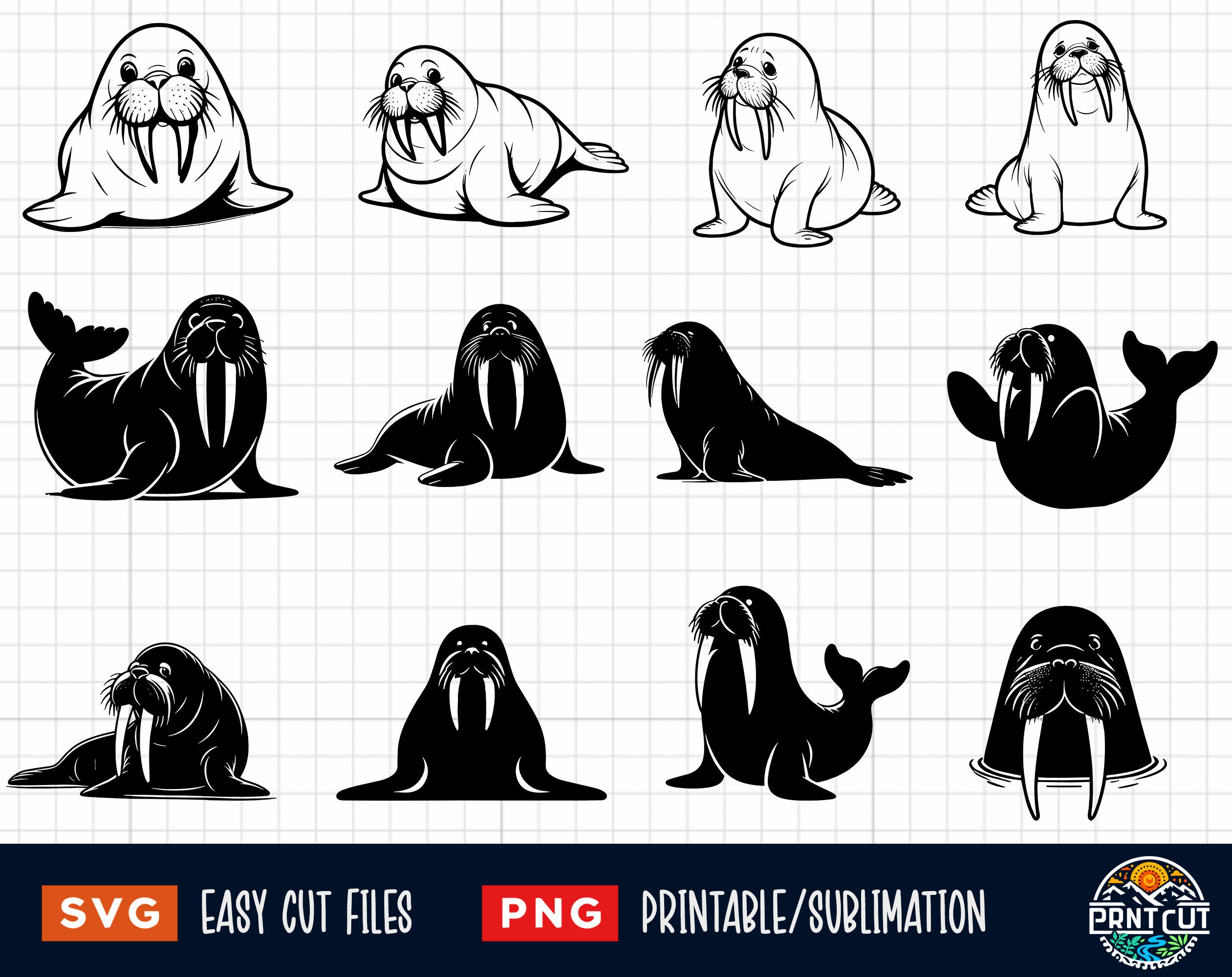 30 Walrus SVG Bundle, Walrus Svg Png, Walrus Coloring Page, Walrus Cut ...