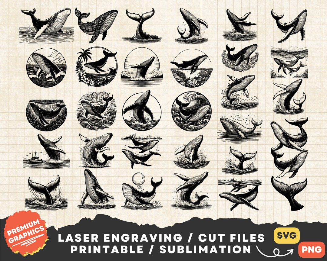 32 Humpback Whale Svg Bundle, Whale Tail Svg, Clipart Humpback Whale ...