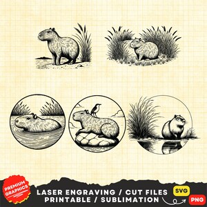 30 Capybara Bundle, Capybara Svg, Capybara Png Clipart, Capybara Head ...