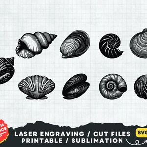 25 Seashell Svg Bundle, Seashell Svg, Seashell Png Clipart, Seashell ...