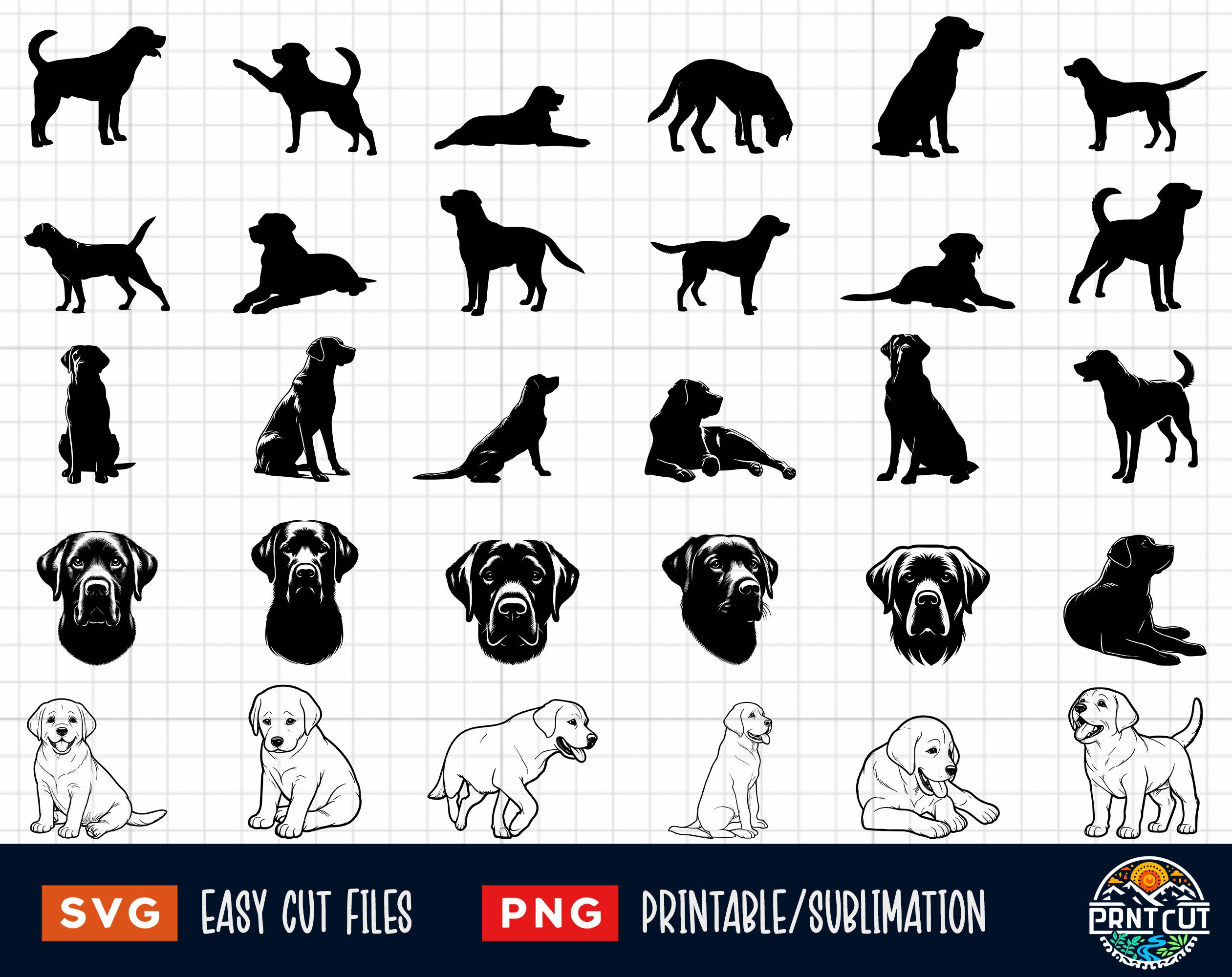 30 Labrador SVG Bundle, Labrador Svg, Labrador Png, Labrador Dog Svg ...