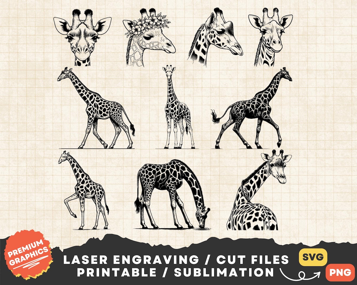 30 Giraffe SVG Bundle, Giraffe Svg, Giraffe Head Svg, Giraffe Png, Cute ...