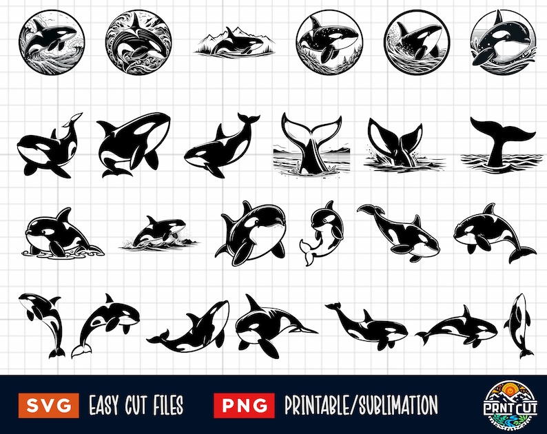 25 Orca Svg, Orca Png, Orca Coloring Page, Orca Cut File, Orca ...