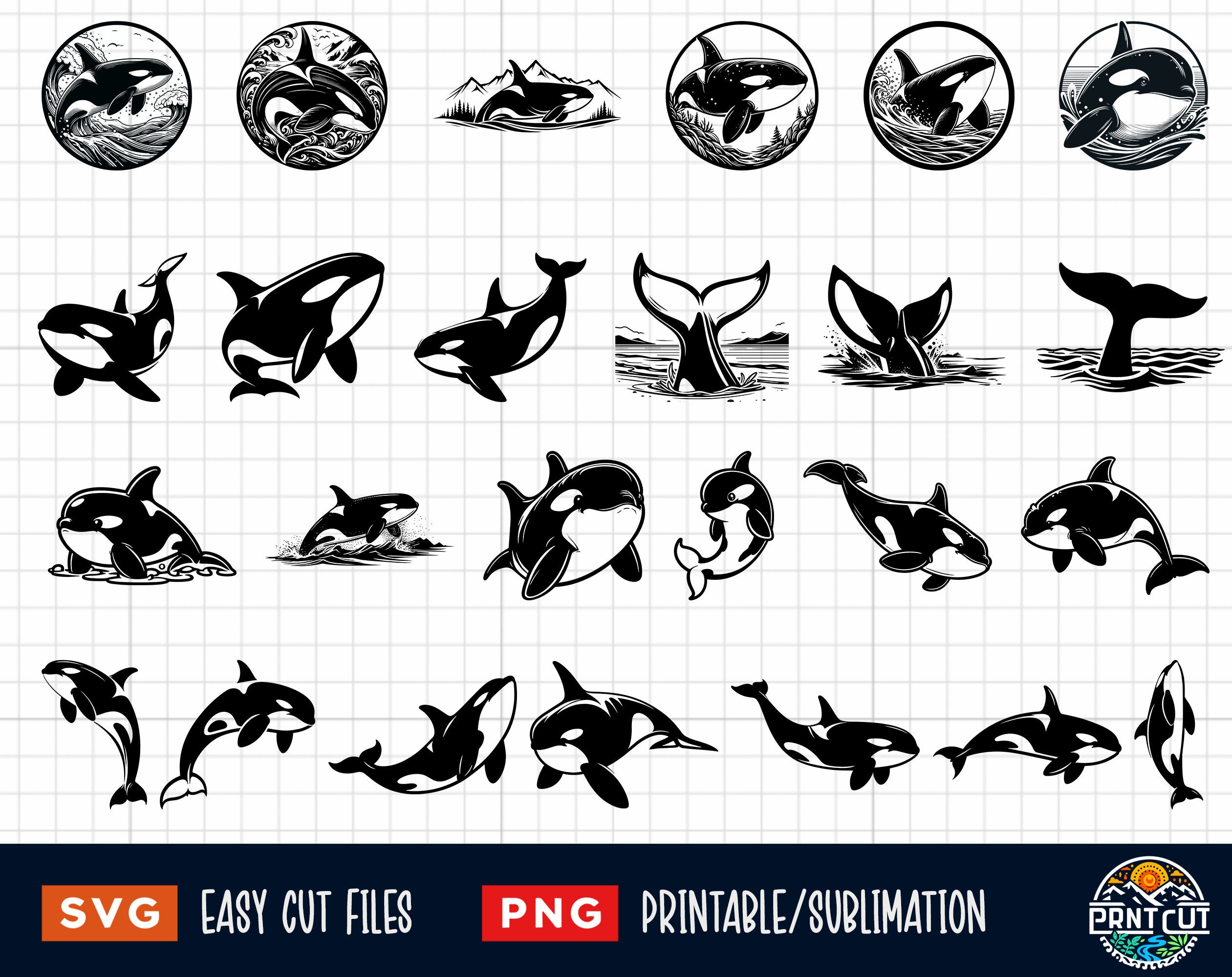 25 Orca Svg, Orca Png, Orca Coloring Page, Orca Cut File, Orca ...