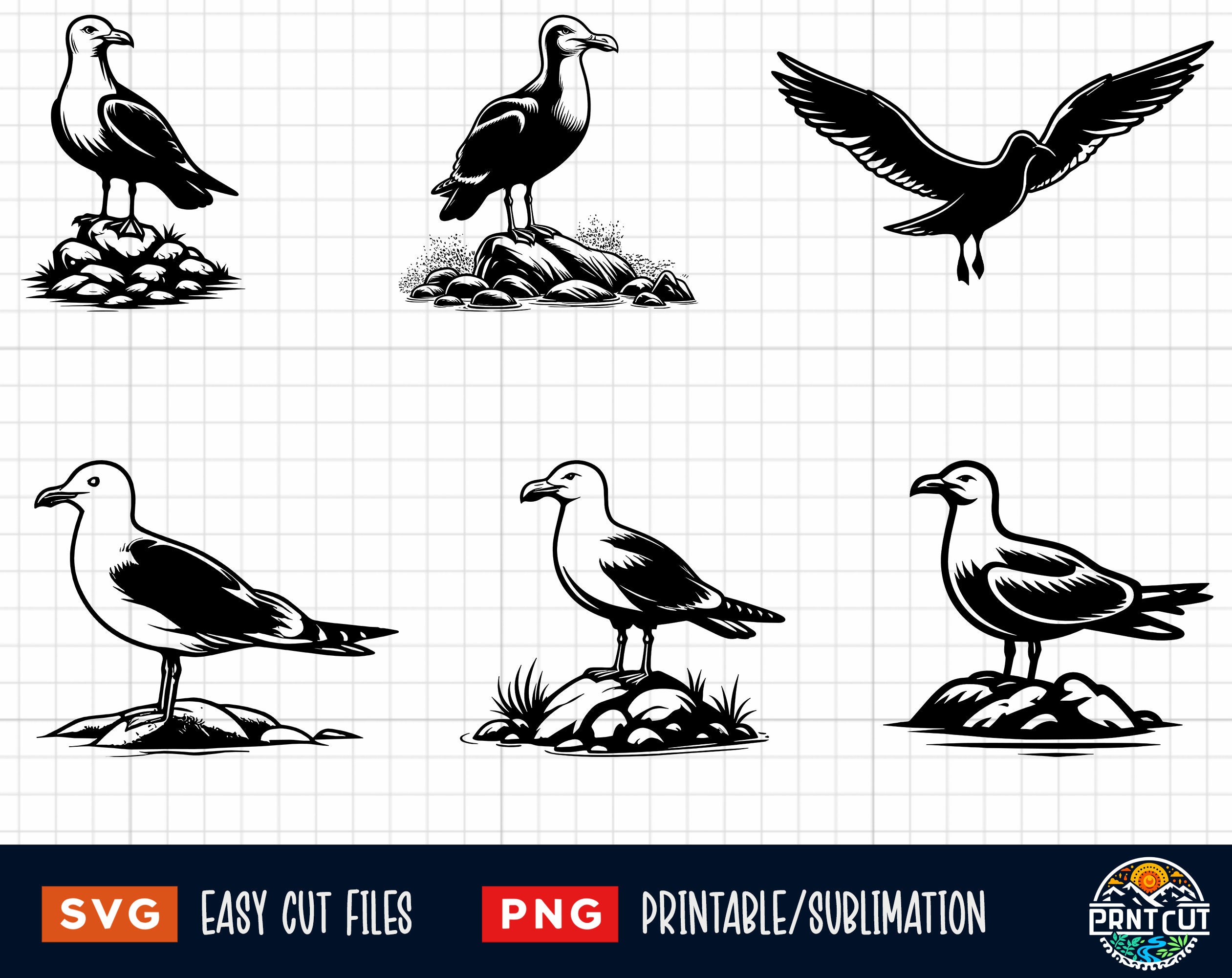 30 Seagull SVG Bundle, Seagull Svg, Seagull Png, Sea Bird Svg Png ...