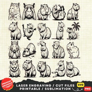 Funny Capybara SVG, Capybara Svg, Capybara Png, Capybara Clipart, Cute ...