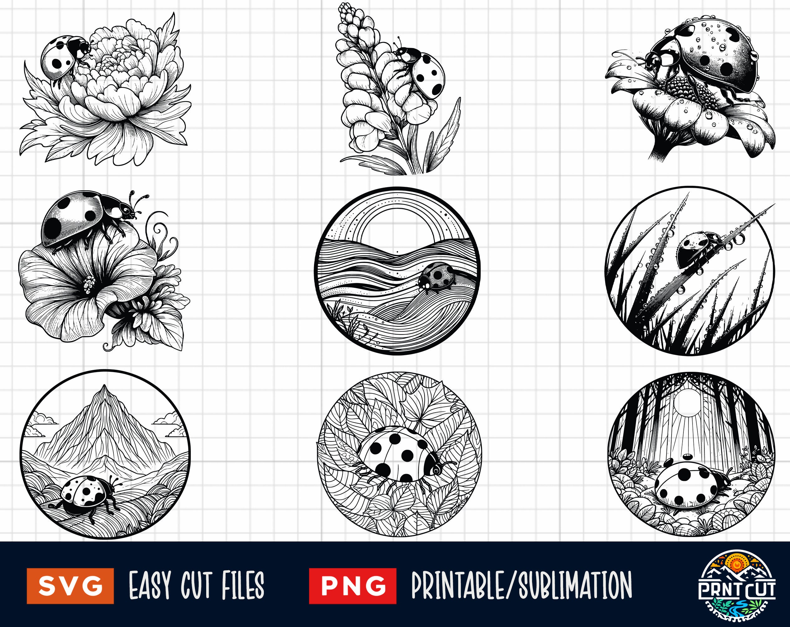 25 Ladybug Scene SVG Bundle, Ladybug Svg Png, Flower Ladybug Svg, Lady ...