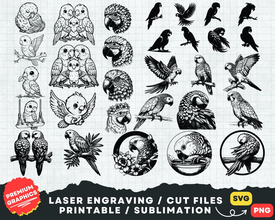30 Parrot Svg Bundle, Parakeet Svg Png, Cute Parrot Svg, Chick Svg ...