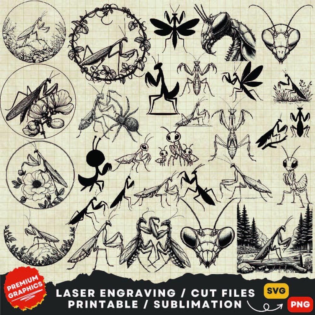 30 PRAYING MANTIS Svg, Mantis Svg, Praying Mantis Png, Praying Mantis ...