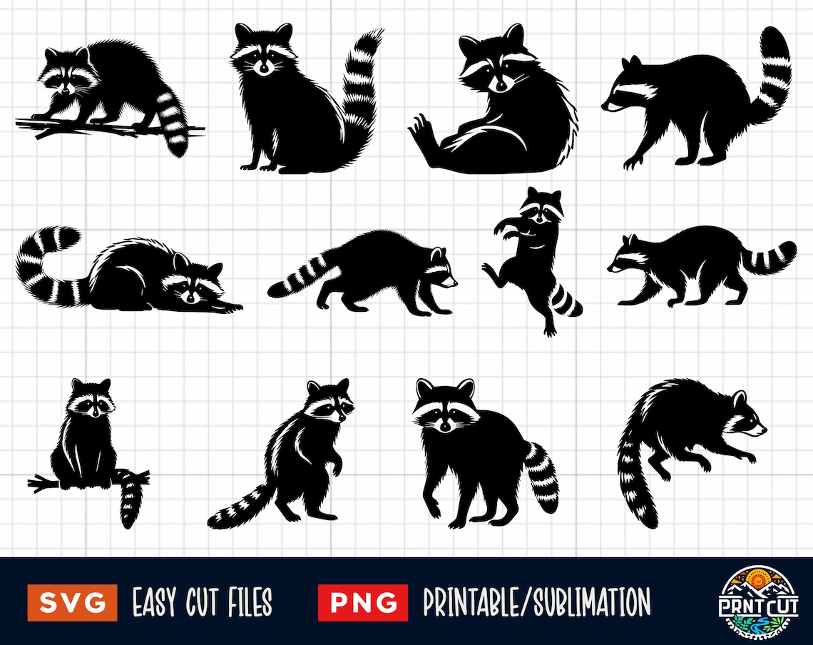 30 Raccoon SVG Bundle, Raccoon Svg, Raccoon Head Svg, Raccoon Png ...