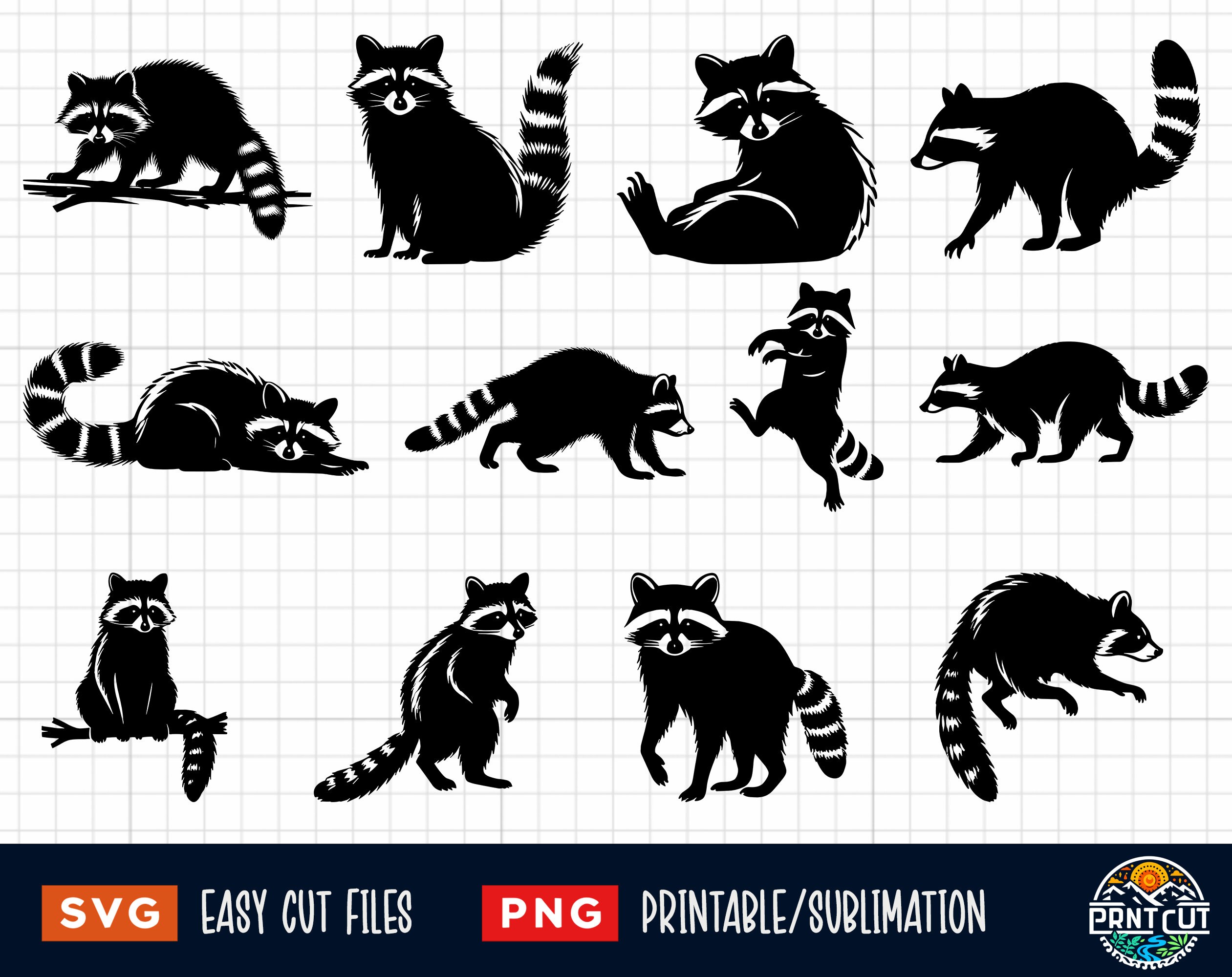 30 Raccoon SVG Bundle, Raccoon Svg, Raccoon Head Svg, Raccoon Png ...