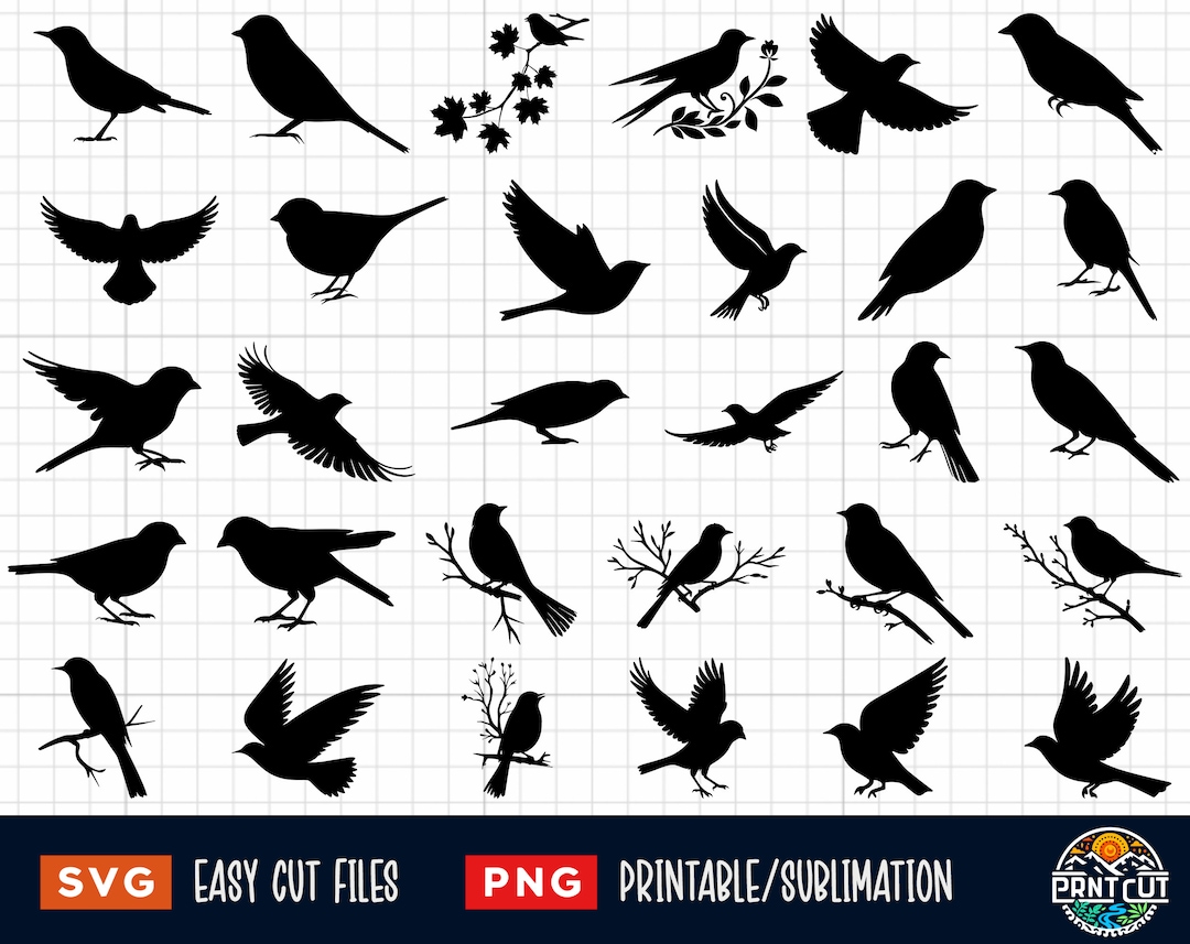 30 Birds SVG Bundle, Bird Svg, Bird Png, Birds Svg Png, Bird Cut File ...