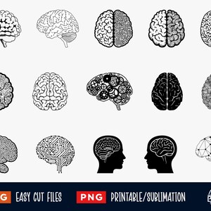 15 Brains Bundle, Brain Svg, Brain Png, Brains Svg Png, Brain Cut File, Brain Silhouette, Neural ...