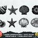 25 Seashell Svg Bundle, Seashell Svg, Seashell Png Clipart, Seashell ...