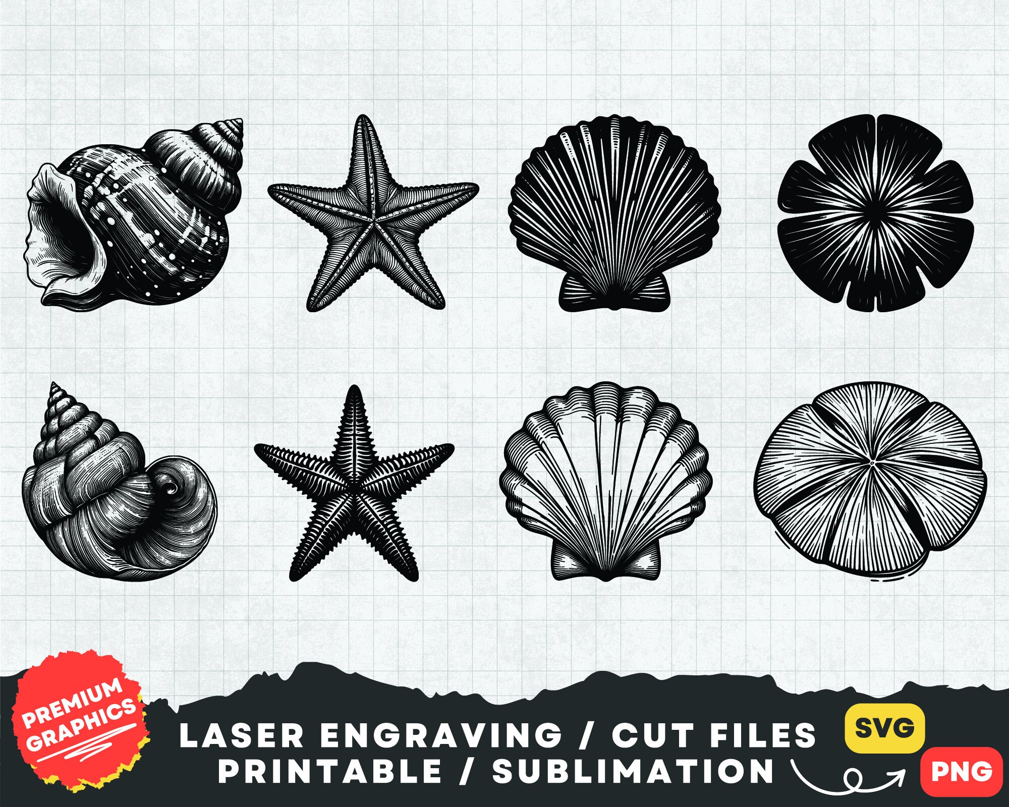 25 Seashell Svg Bundle, Seashell Svg, Seashell Png Clipart, Seashell ...