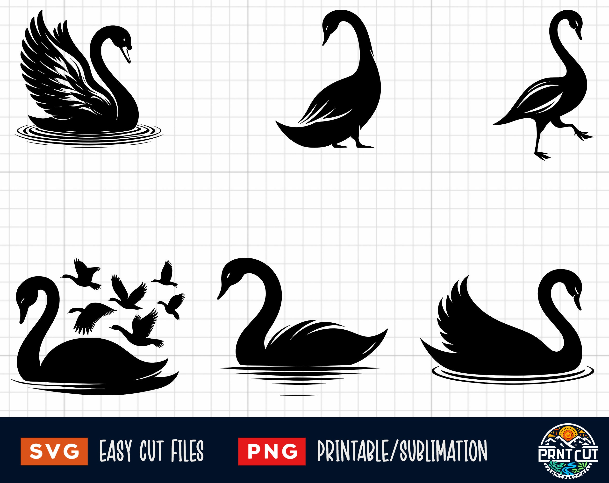 30 Swan SVG Bundle, Swan Svg, Swan Png, Swans Svg Png, Swan Cut File ...