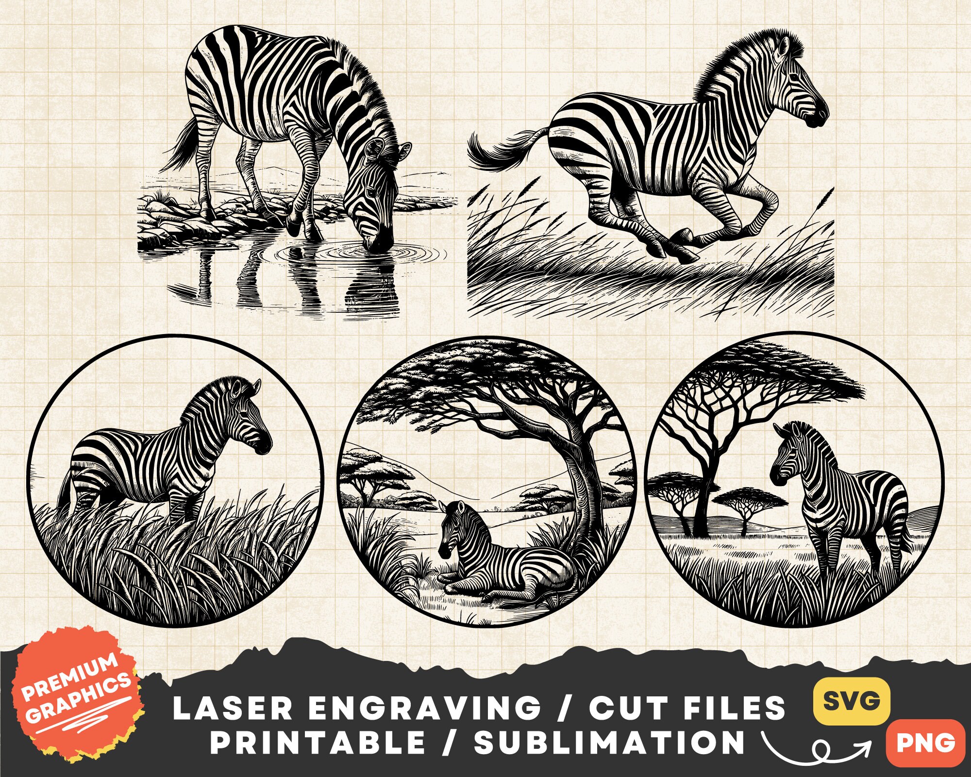 Zebra Svg Bundle, Zebra Svg, Clipart Zebra Png Print, Zebra Head Svg ...