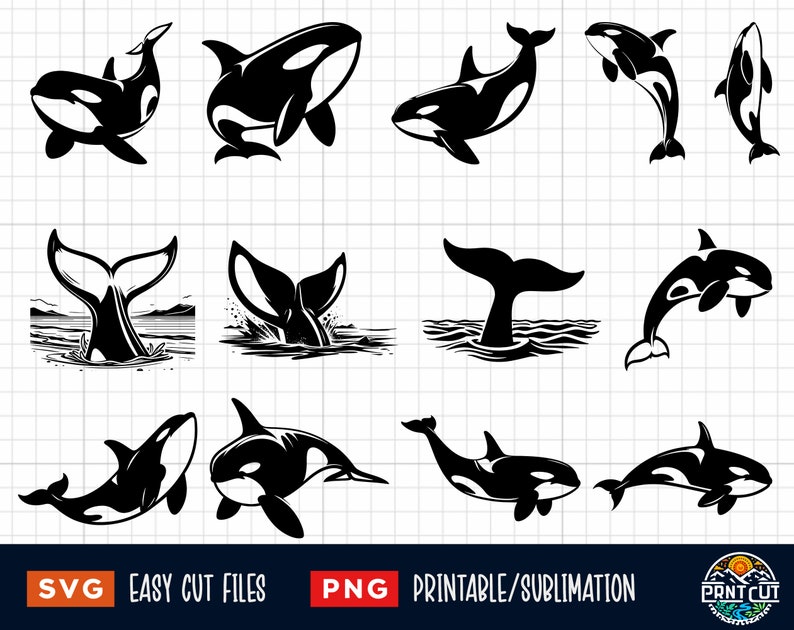 25 Orca Svg, Orca Png, Orca Coloring Page, Orca Cut File, Orca ...