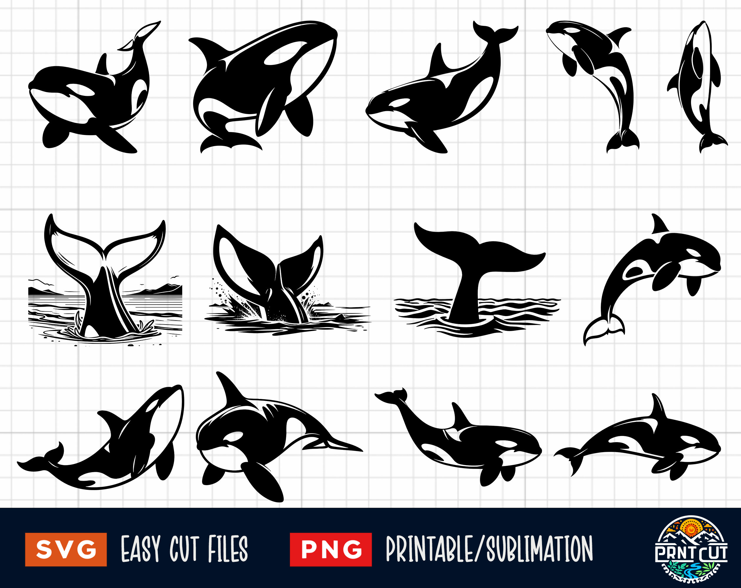 25 Orca Svg, Orca Png, Orca Coloring Page, Orca Cut File, Orca ...
