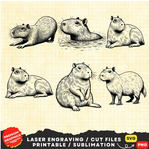30 Capybara Bundle, Capybara Svg, Capybara Png Clipart, Capybara Head ...