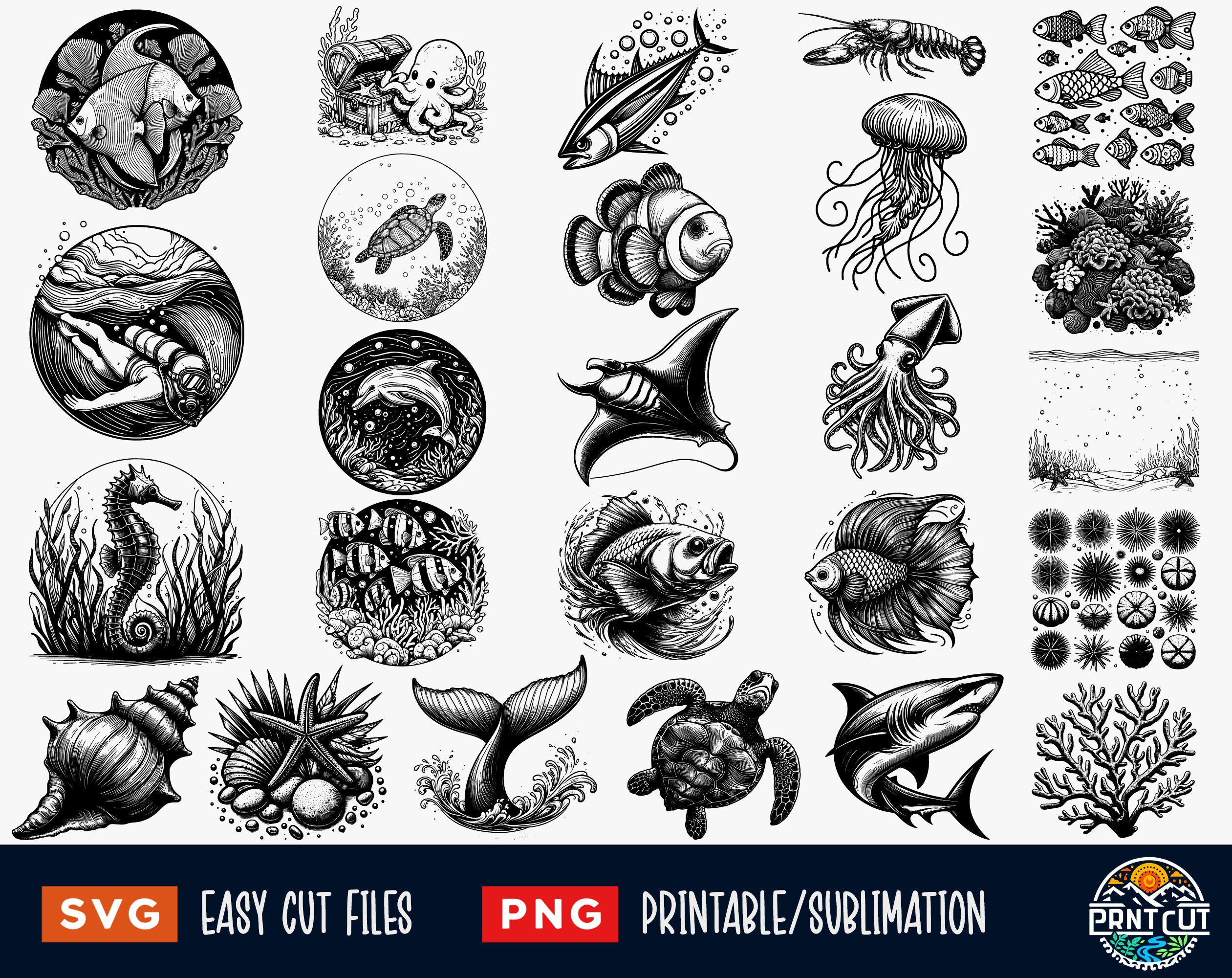 31 Underwater Svg, Underwater Scene Svg, Ocean Scene Svg, Ocean Animals ...