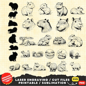 30 Capybara Bundle, Capybara Svg, Capybara Png Clipart, Capybara Head ...