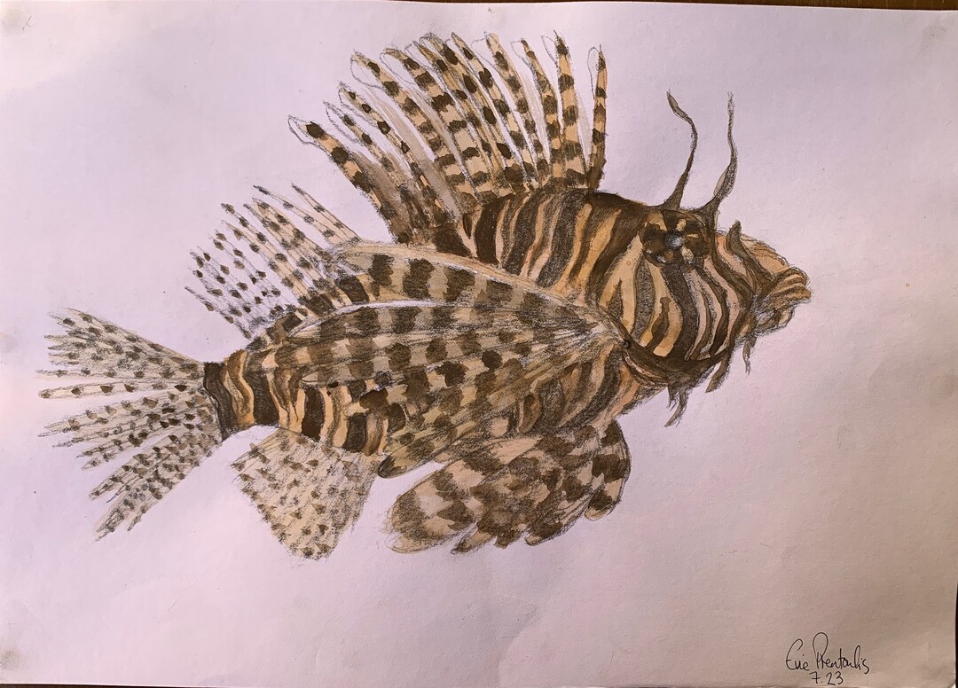 Lionfish Watercolour Painting With Paint Made From Nature - Etsy