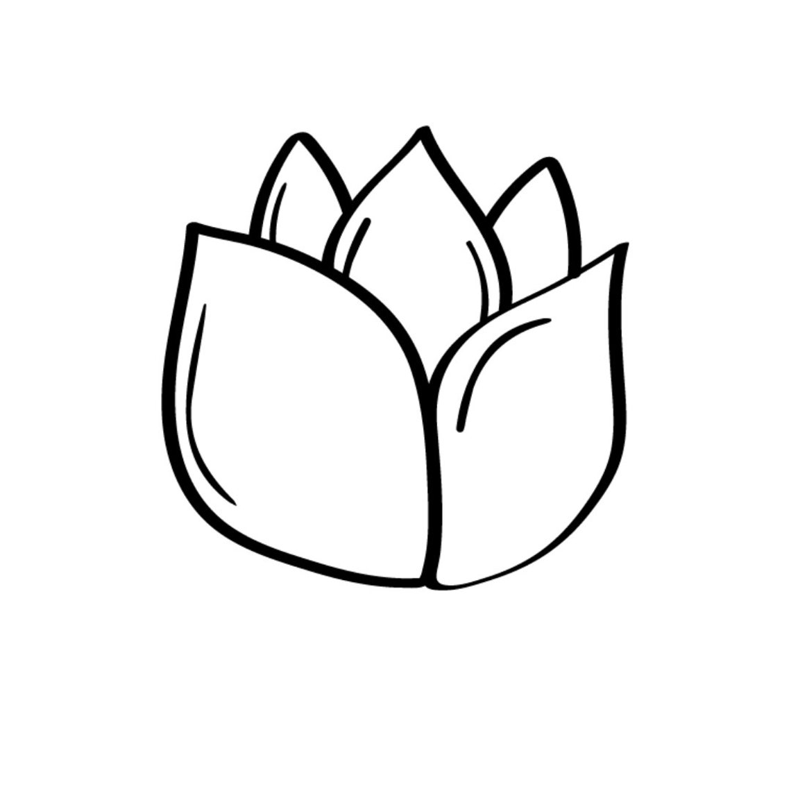 Tulip Clip Art PNG and JPG - Etsy