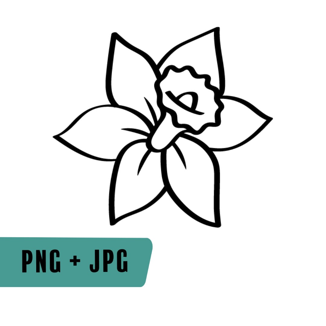 Daffodil Flower Clip Art PNG and JPG - Etsy