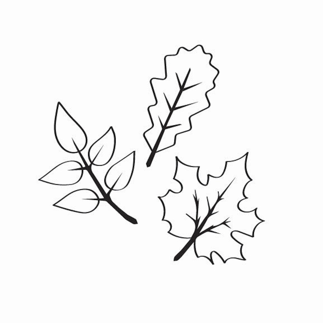 Fall Leaves Clip Art PNG and JPG - Etsy