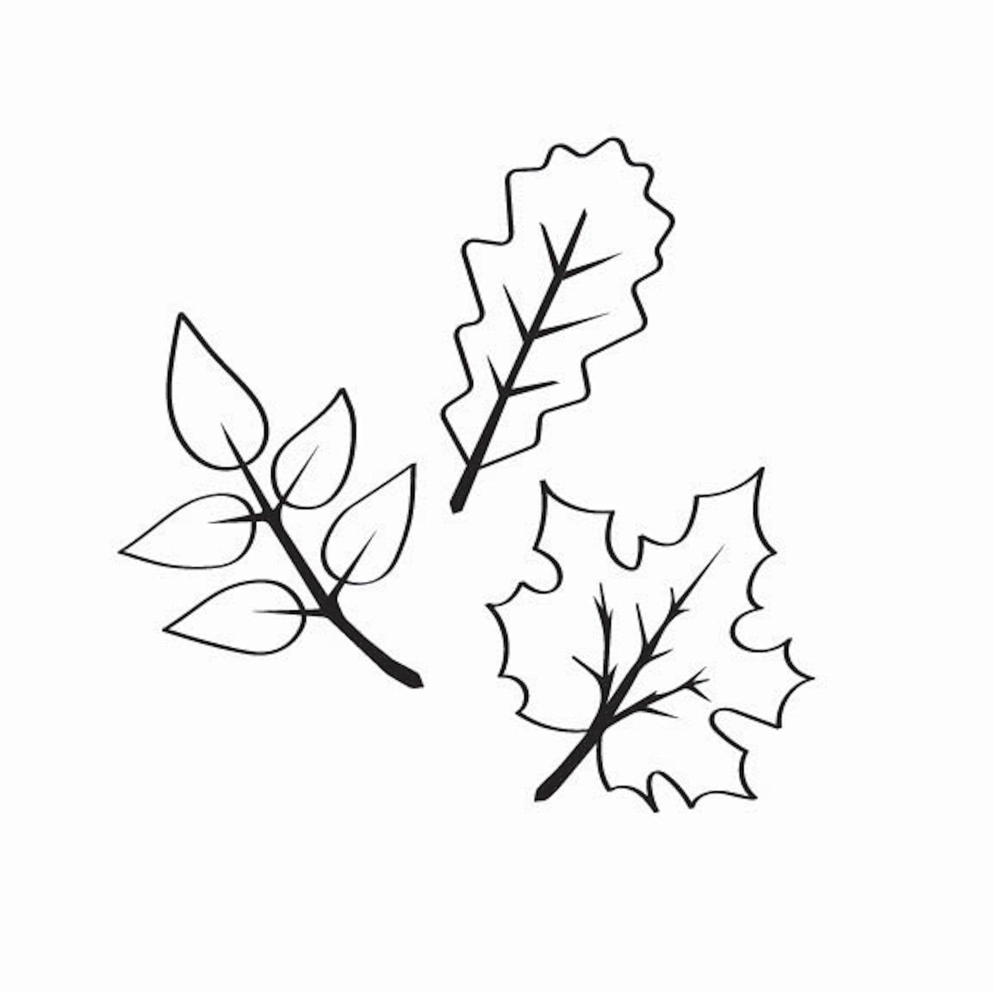 Fall Leaves Clip Art PNG and JPG - Etsy