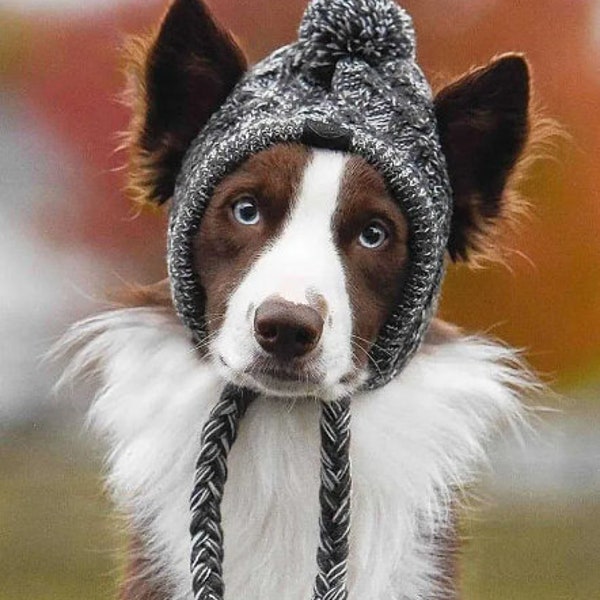 Dog Winter Hat - Etsy