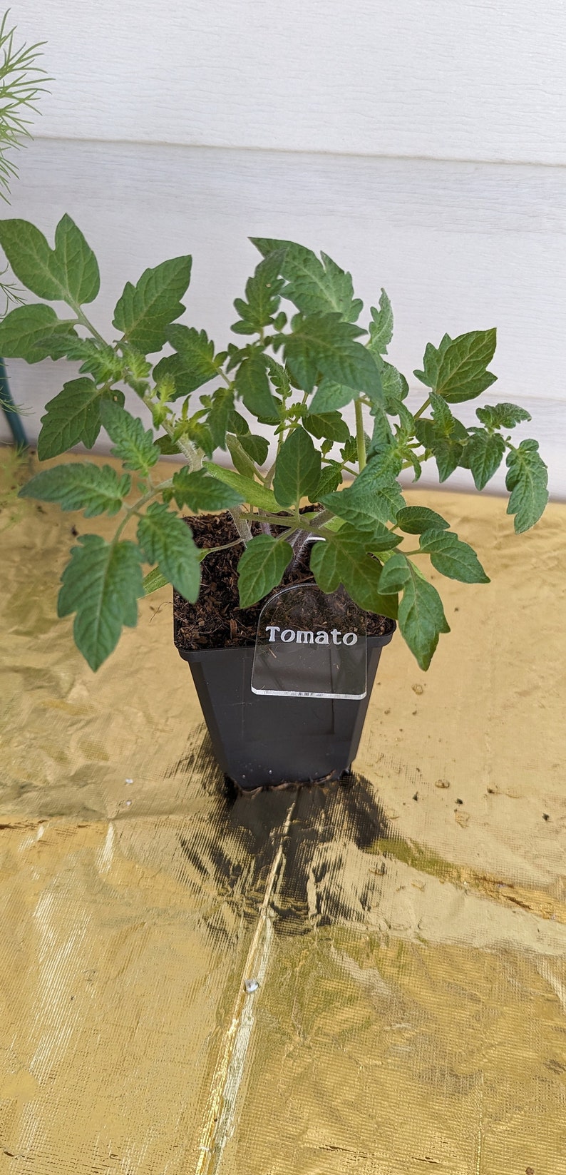 33 Garden Name Tag Hangers Svg Laser Cut Designs - Etsy