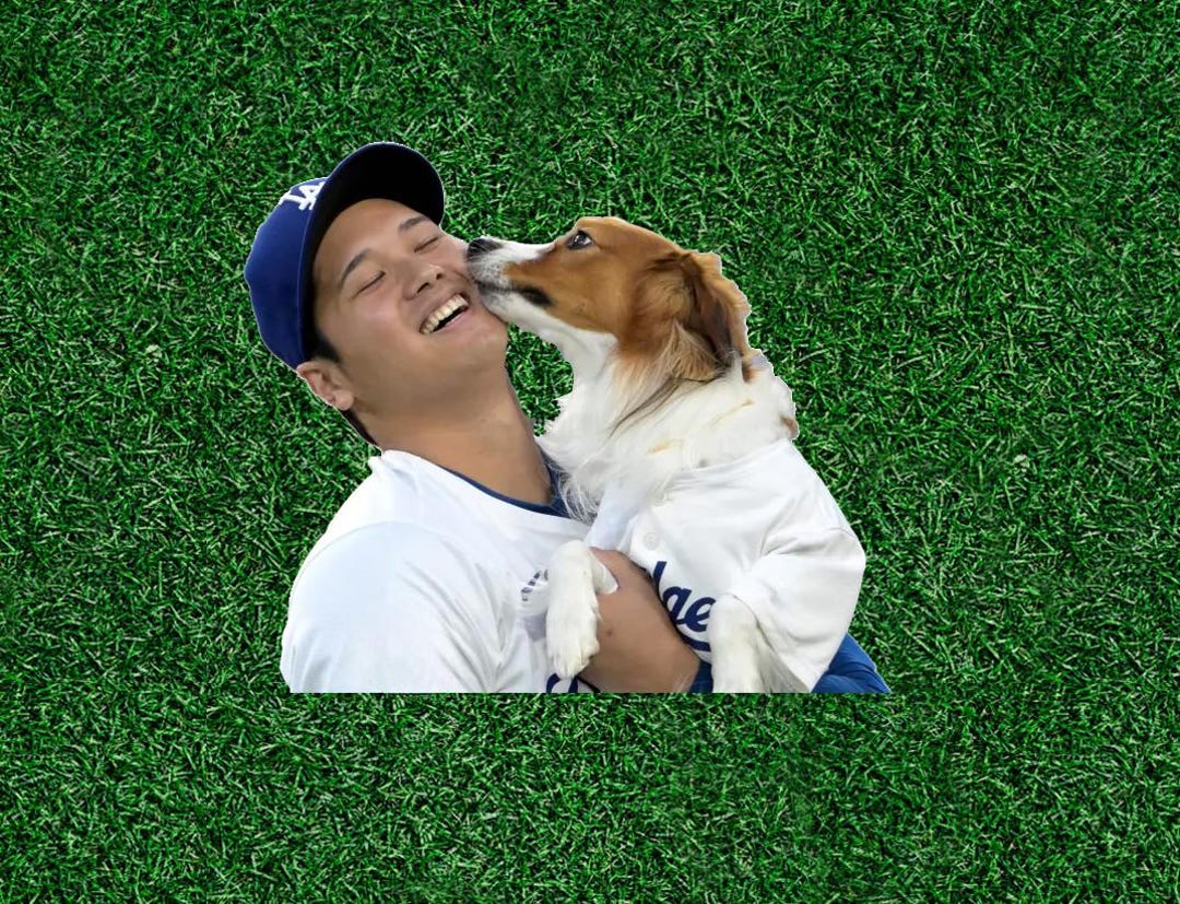 Dodgers Shohei Ohtani and His Dog Dekopin Magnet Several Sizes ...