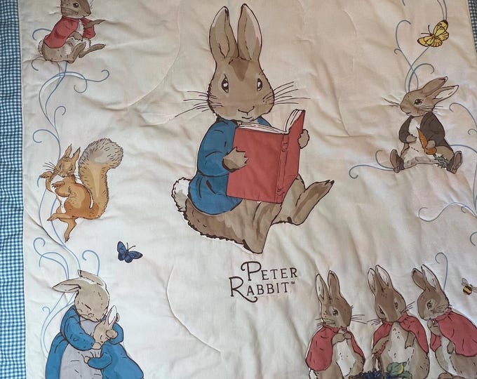 Peter Rabbit Baby Quilt/ Blue Patchwork Baby Quilt/ Ginghams and Dots ...