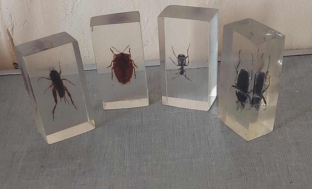 Vintage Epoxy Resin Insects 4 Pieces - Etsy
