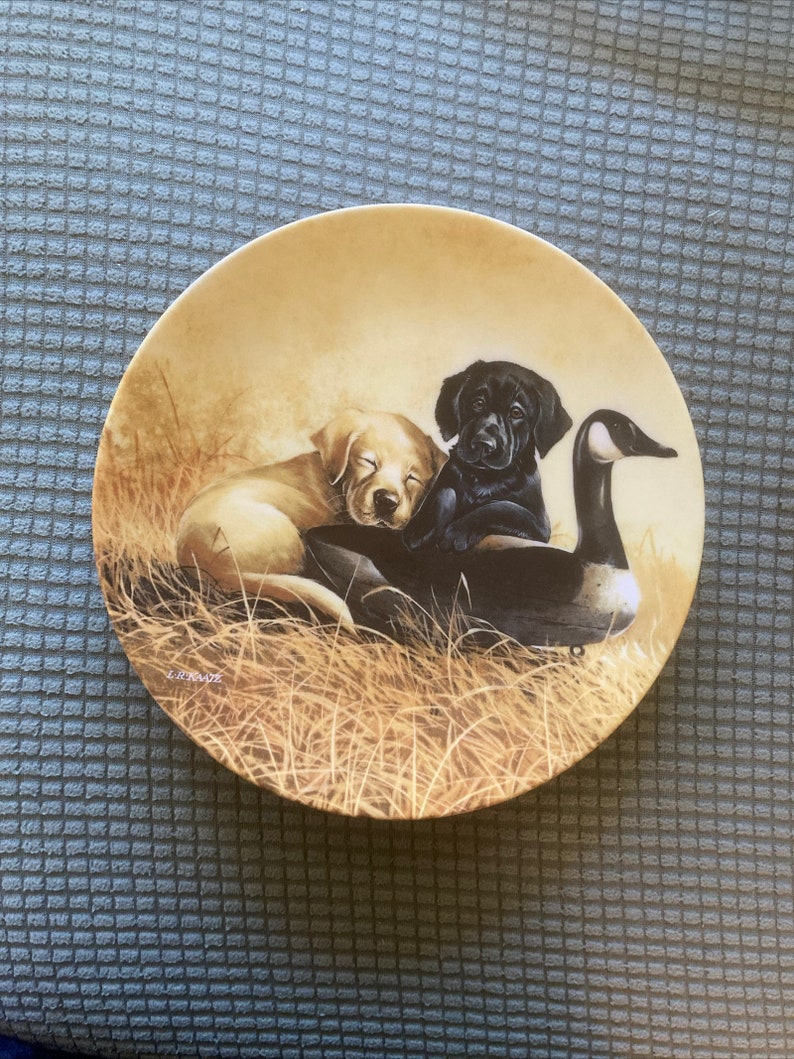 Vintage Knowles Lab Puppies ‘ducking Duty’ Collectors Plate - Etsy