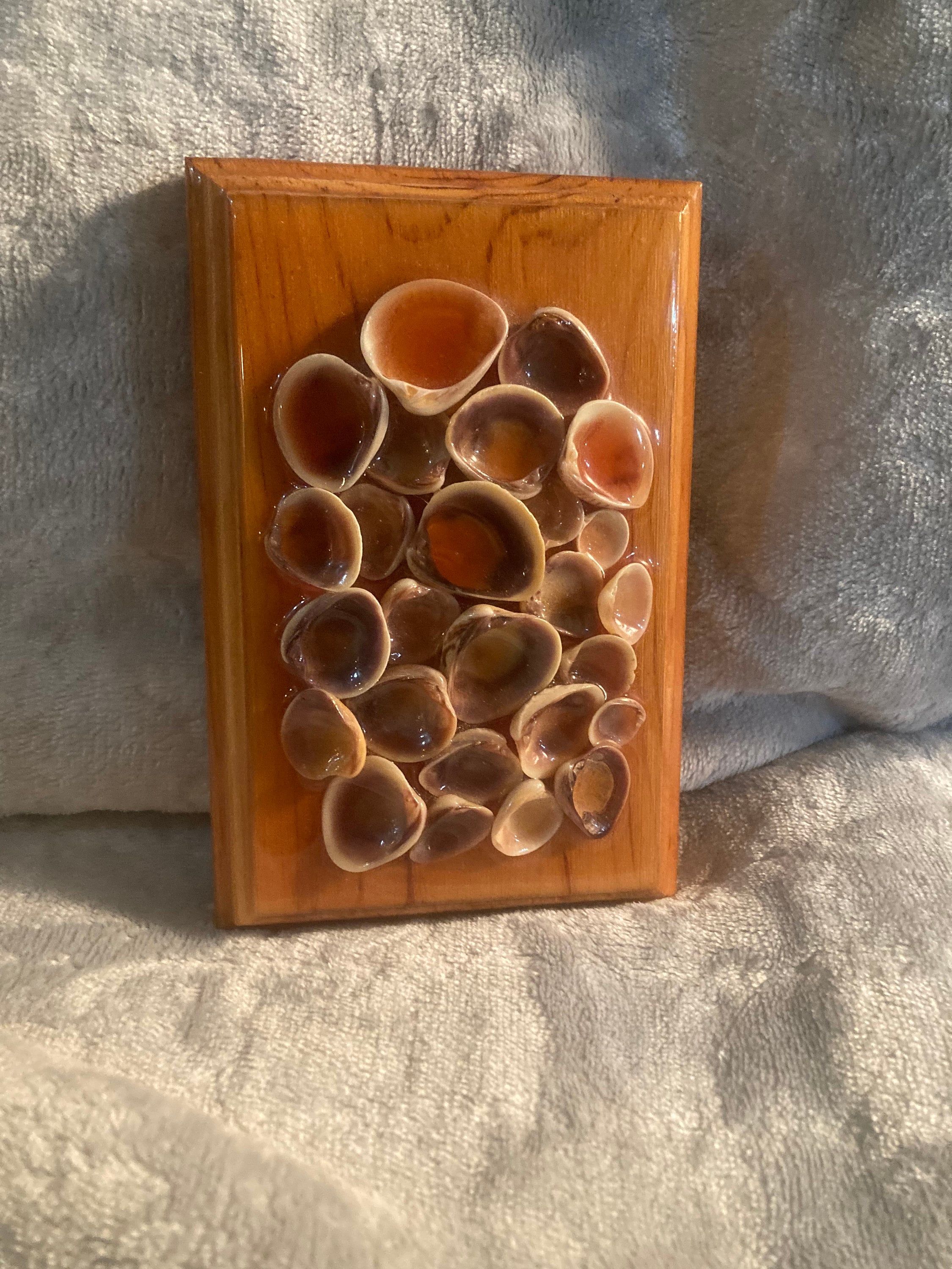 Wooden Decoupaged Seashell Plaque - Handmade - Etsy