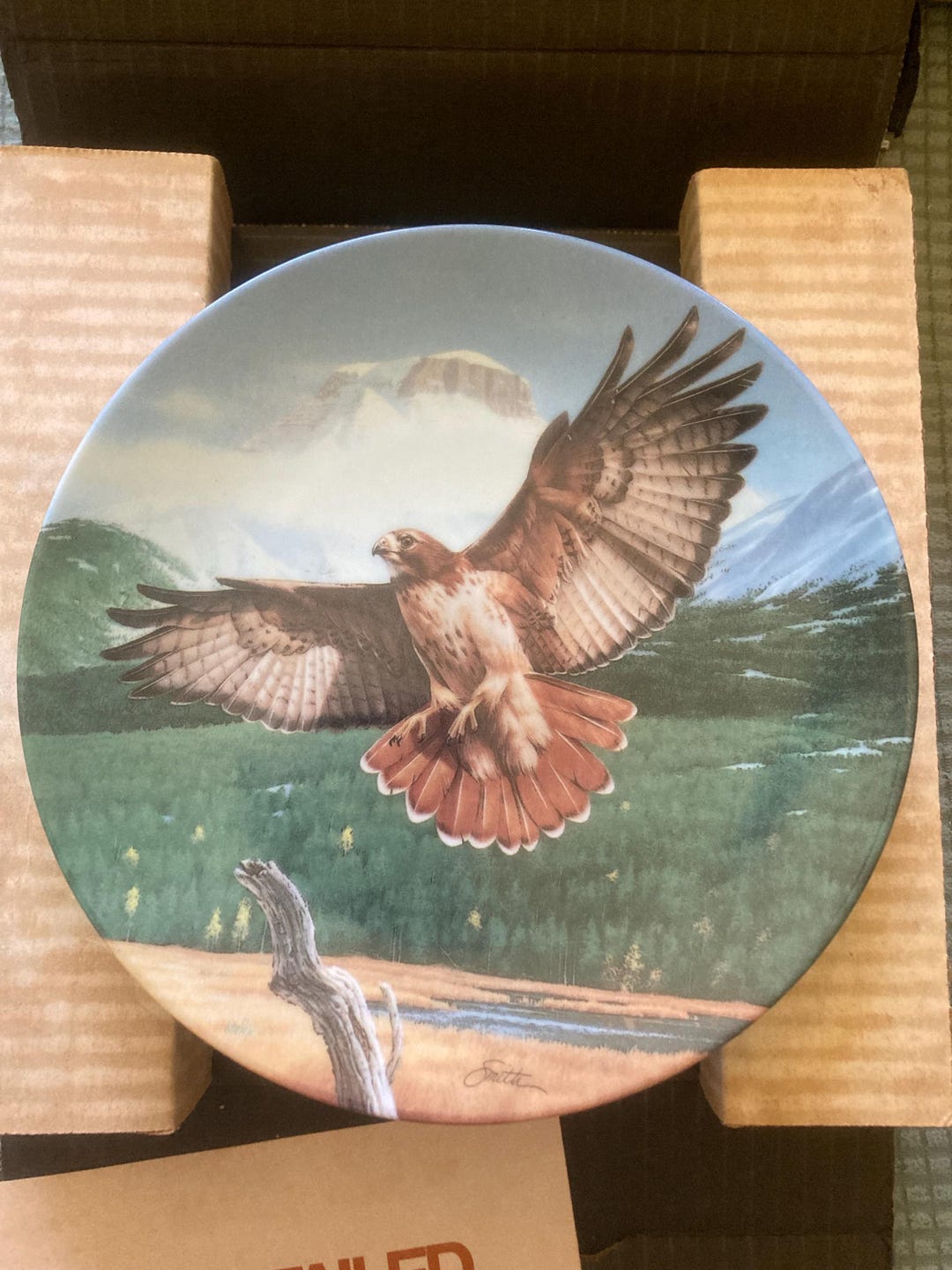 The Red-tailed Hawk Birds of Prey Collector Plate by Daniel Smith 1989 ...