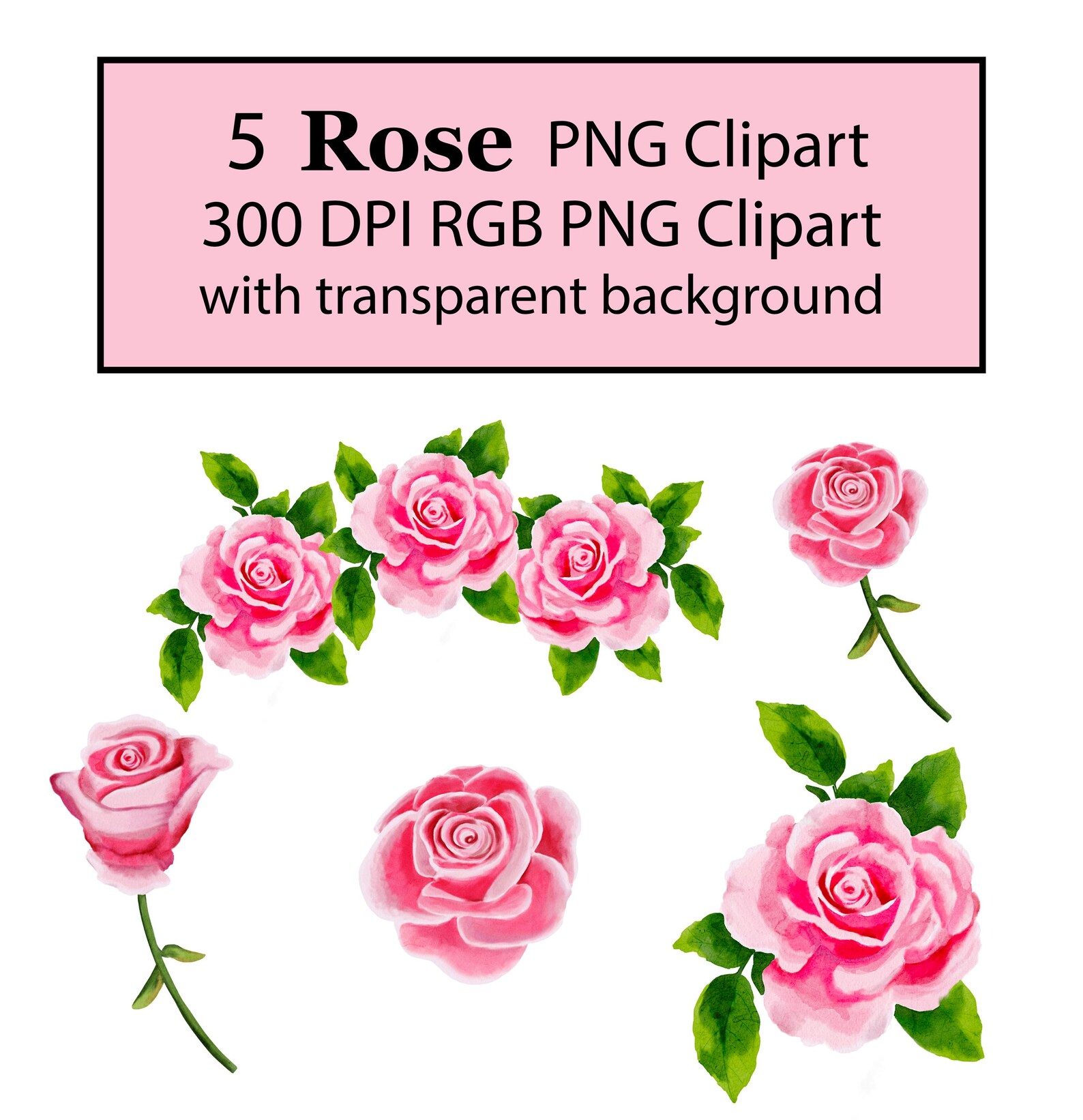 Hand-drawn Rose Clipart Bundle: Floral Pngs for Wedding Invitations ...