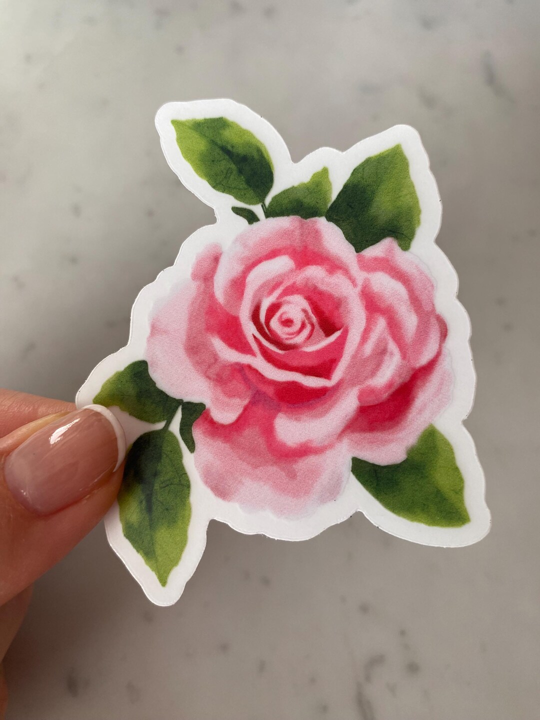 Die Cut Watercolour Pink Rose Sticker, 2.37 X 3 in Floral Sticker Vinyl ...