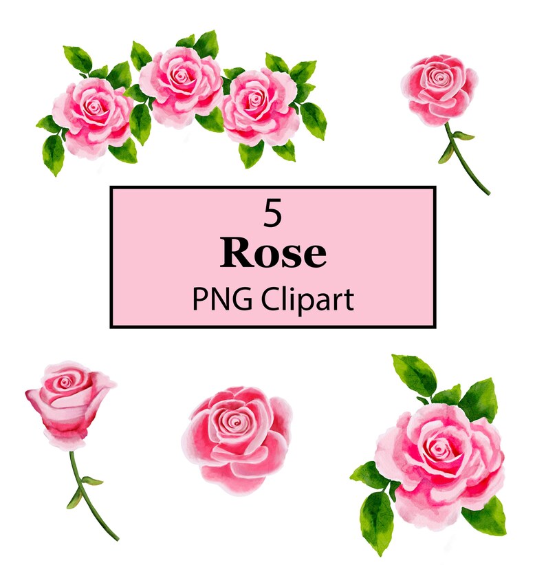 Hand-drawn Rose Clipart Bundle: Floral Pngs for Wedding Invitations ...