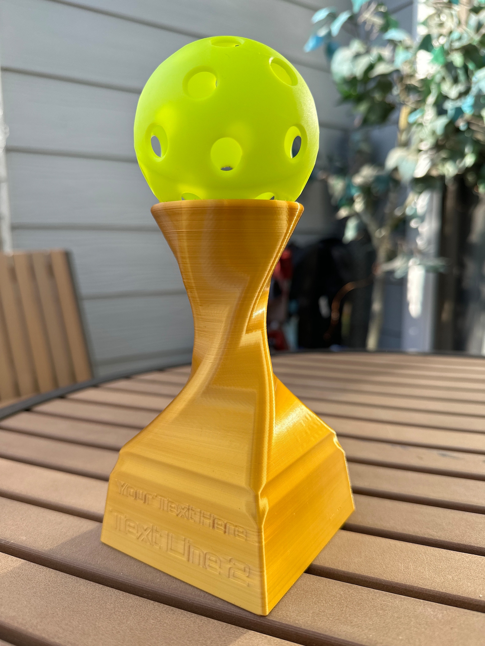 Pickleball Trophy | Custom Text Engraving | Tournament Winner ...