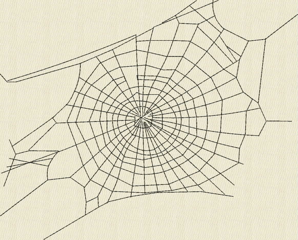 Spider & Web Machine Embroidery Designs - Etsy