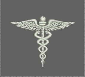 Medical Caduceus Machine Embroidery Design - Etsy