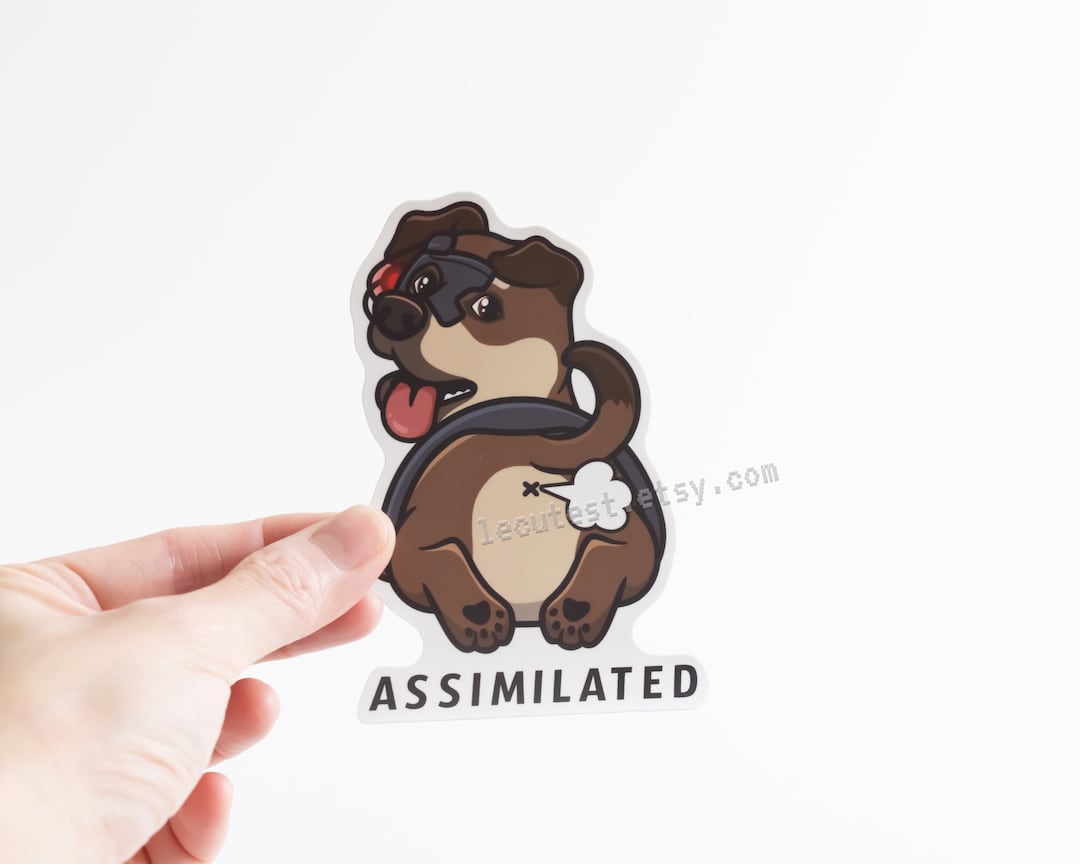 Assimilated Borg Dog Sticker, Star Trek Bumper Sticker, Dog Butt ...