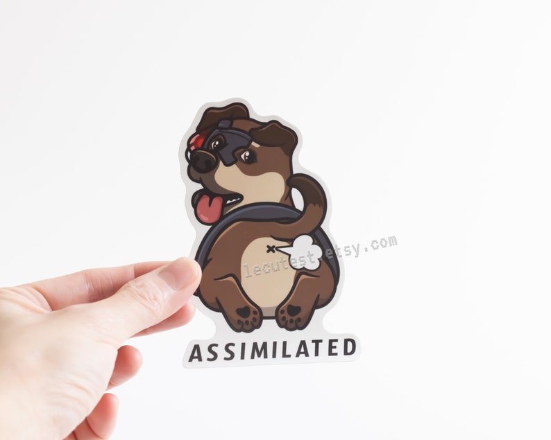 Assimilated Borg Dog Sticker, Star Trek Bumper Sticker, Dog Butt ...
