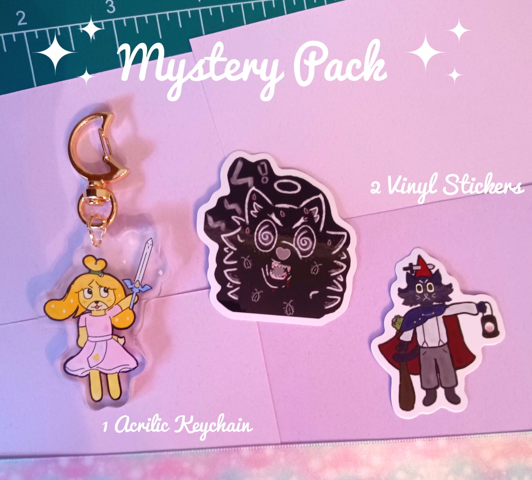 Vinyl Stickers and Keychain Mystery Pack - Etsy