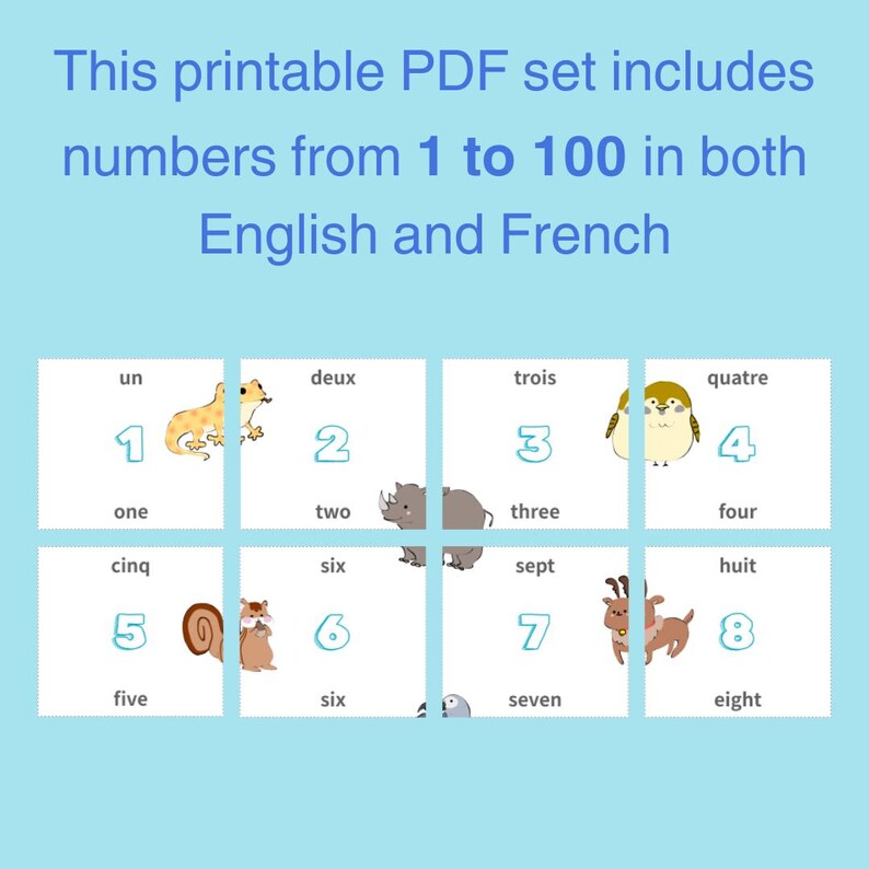 French & English Numbers 1-100 Flashcards – Printable PDF for Kids ...
